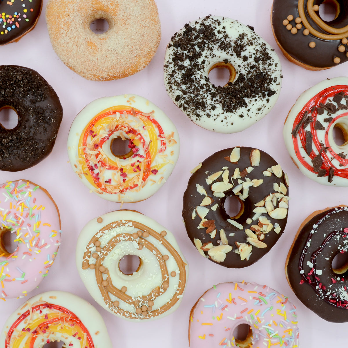 Daily Assorted Rings Donut Box – The Donut Destination